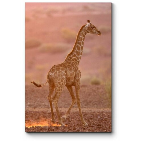 Модульная картина Одинокий жираф80x120