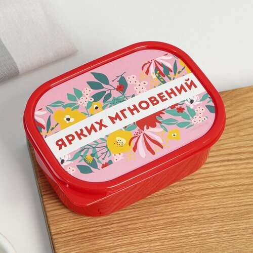FoodVibes Ланч-бокс прямоугольный «Ярких мгновений», 500 мл