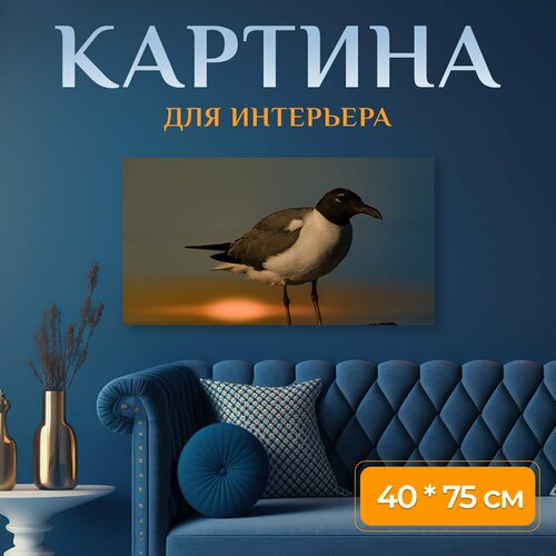 Картина на холсте "Чайка, птица, дикая природа" на подрамнике 75х40 см. для интерьера