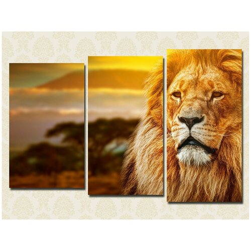Модульная картина на Холсте - "Мудрый лев", размер 90х60 см