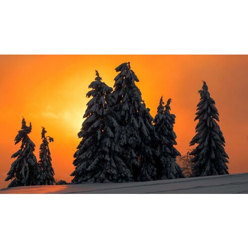Картина на холсте 110x60 LinxOne "Ночь елки зима ели снег" интерьерная для дома / на стену / на кухню / с подрамником