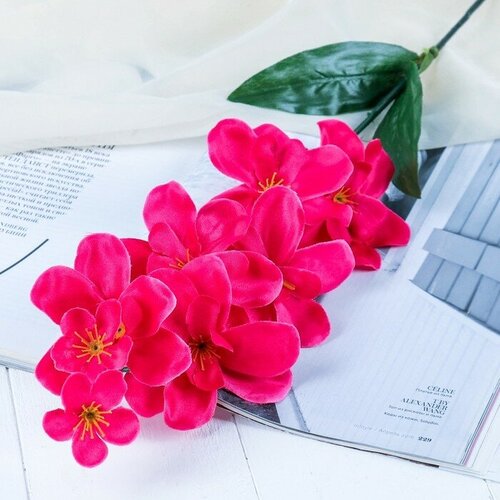 Poetry in flowers Цветы искусственные "Орхидея амезиелла" 65 см, малиновый