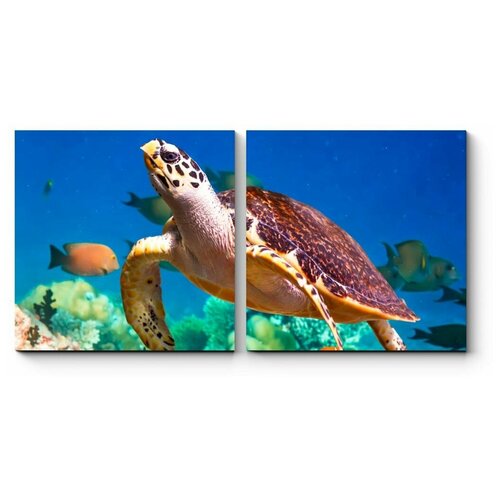 Модульная картина Черепаха в коралловом рифе40x20