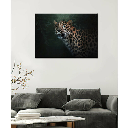 Картина/Ягур/Ягуар в джунглях/Ягуар на дереве/Черный ягуар/ - Ягуар (23) 50х70