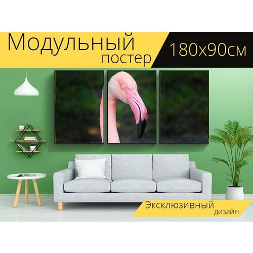 Модульный постер "Фламинго, розовый, розовый фламинго" 180 x 90 см. для интерьера