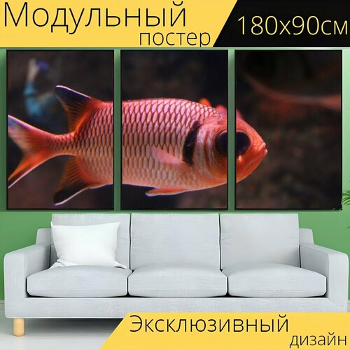 Модульный постер "Рыбы, аквариум, красный" 180 x 90 см. для интерьера