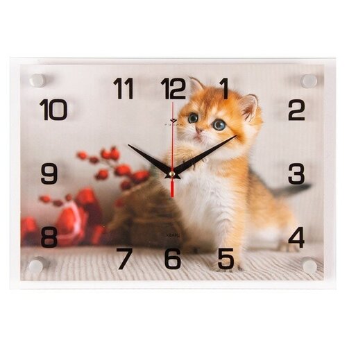Рубин Часы настенные, интерьерные "Золотой котенок", бесшумные, 25 х 35 см