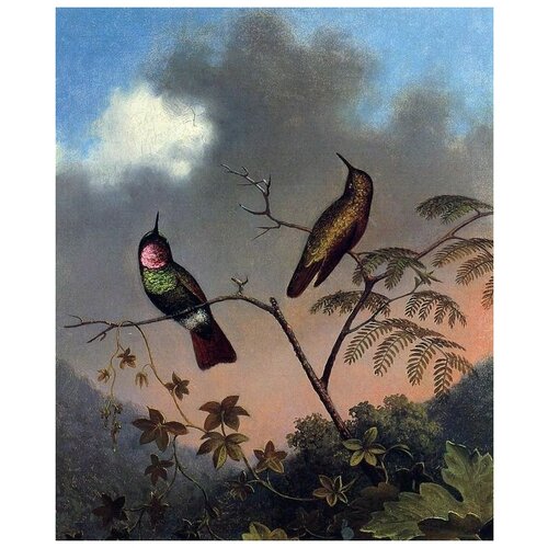 Репродукция на холсте Бразильские колибри (Brazilian hummingbirds) Хэд Мартин Джонсон 40см. x 49см.