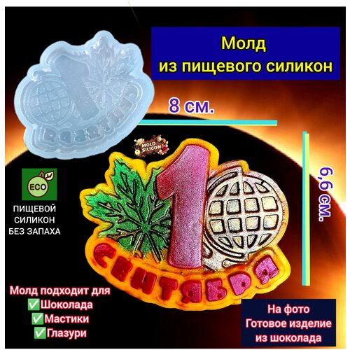 Молд для шоколада 1 сентября