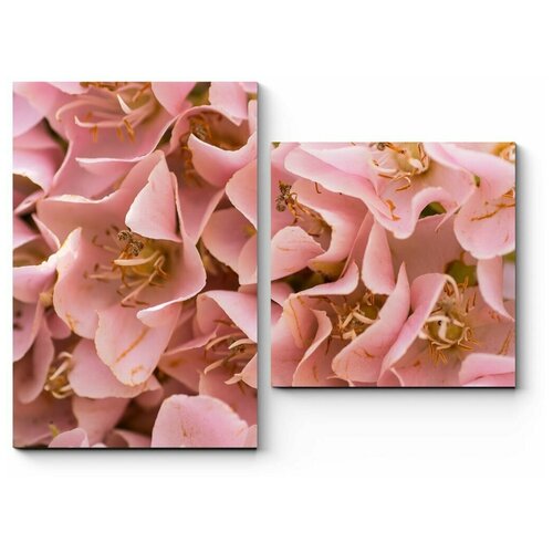 Модульная картина Розовые лепестки110x83