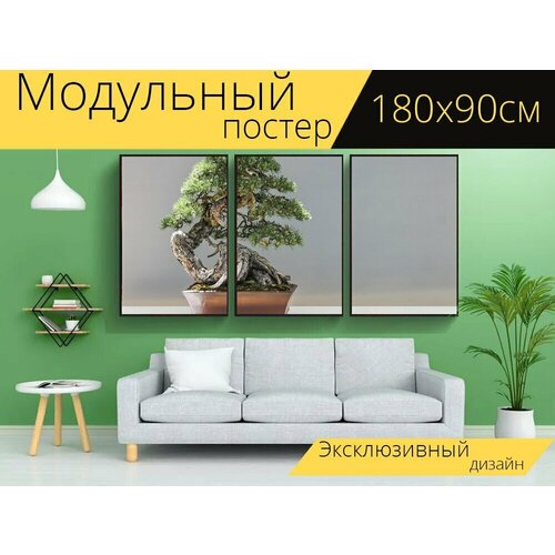 Модульный постер "Бонсай, сосна, завод" 180 x 90 см. для интерьера