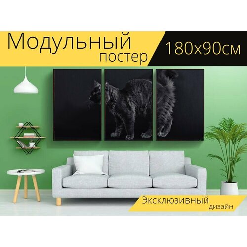 Модульный постер "Кот, мейнкун, чернить" 180 x 90 см. для интерьера