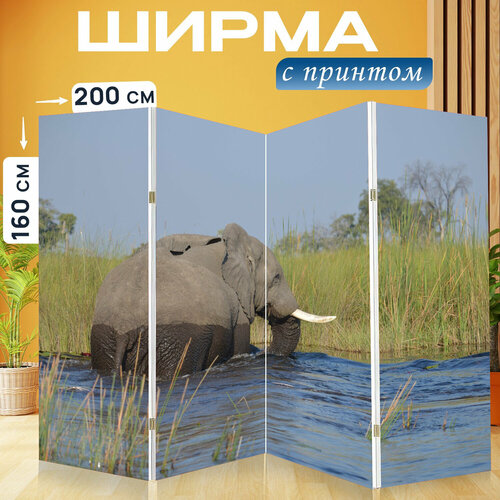 Ширма перегородка с принтом "Слон, ботсвана, африка" на холсте - 200x160 см. для зонирования, раскладная