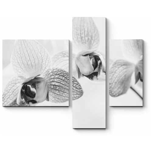 Модульная картина Черно-белые орхидеи 90x74