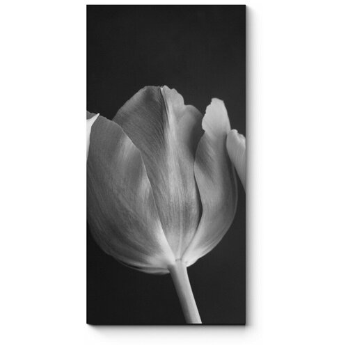 Модульная картина Монохромные тюльпаны 40x80