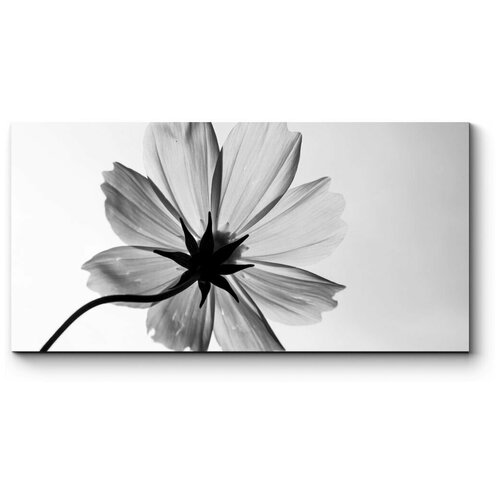 Модульная картина Монохромный цветок 180x90