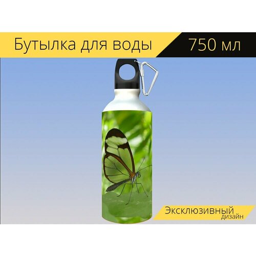 Бутылка фляга для воды "Стеклянное крыло бабочки, насекомое, бабочки прозрачный" 750 мл. с карабином и принтом