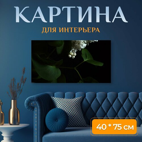 Картина на холсте "Сирень, цветок, завод" на подрамнике 75х40 см. для интерьера