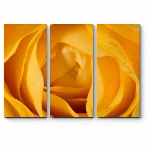 Модульная картина Солнечная роза 100x72