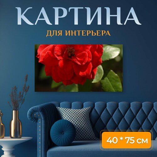 Картина на холсте "Красная роза, маленький цветок, флора" на подрамнике 75х40 см. для интерьера