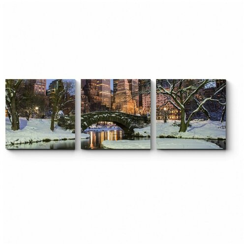 Модульная картина Зимний вид Центрального Парка150x50