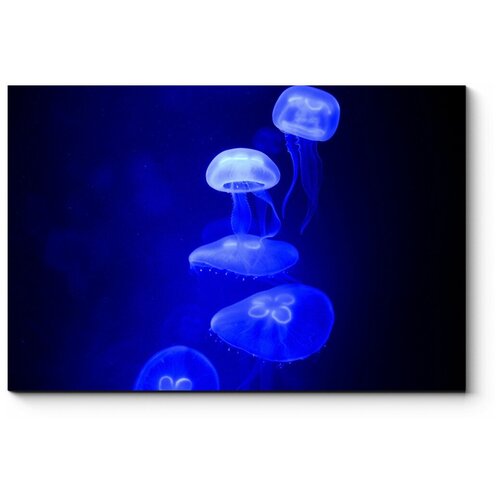 Модульная картина Медузы плывущие к свету 90x60