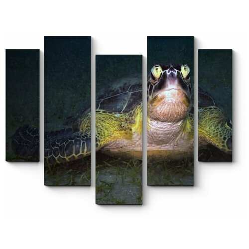 Модульная картина Зеленая черепаха ночью 191x155