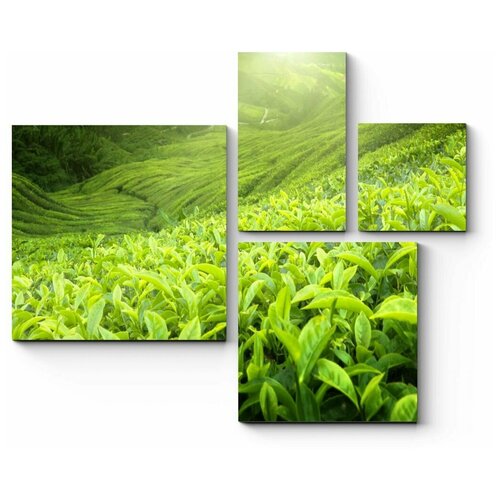 Модульная картина Бескрайняя зелень полей 172x143