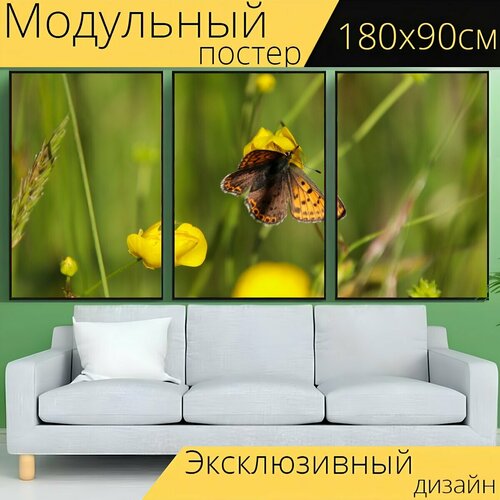 Модульный постер "Бабочка, апельсин, браун" 180 x 90 см. для интерьера