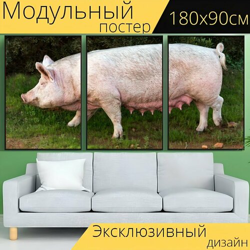 Модульный постер "Свинья, сеять, свинина" 180 x 90 см. для интерьера