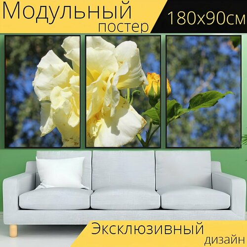 Модульный постер "Роза, белый желтый, белый" 180 x 90 см. для интерьера