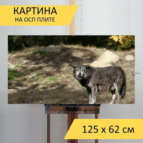 Картина на ОСП 125х62 см. "Волк, хищник, природа" горизонтальная, для интерьера, с креплениями