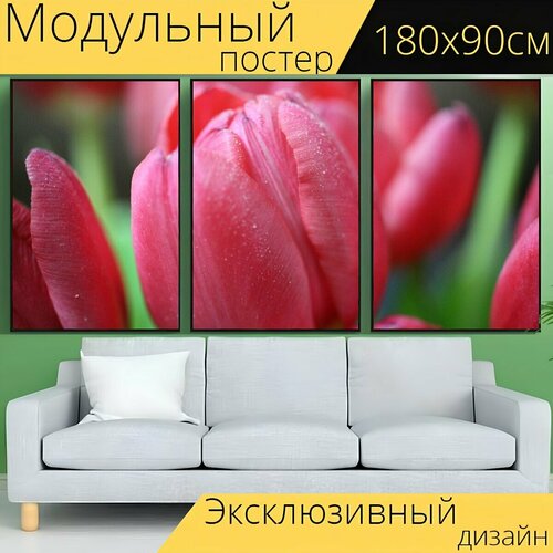 Модульный постер "Тюльпаны, расцветает, цветок" 180 x 90 см. для интерьера