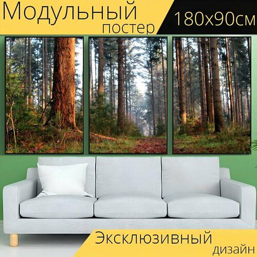 Модульный постер "Путь, лес, природа" 180 x 90 см. для интерьера