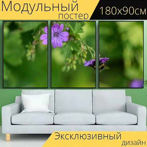 Модульный постер "Фиолетовый, цветок, сад" 180 x 90 см. для интерьера