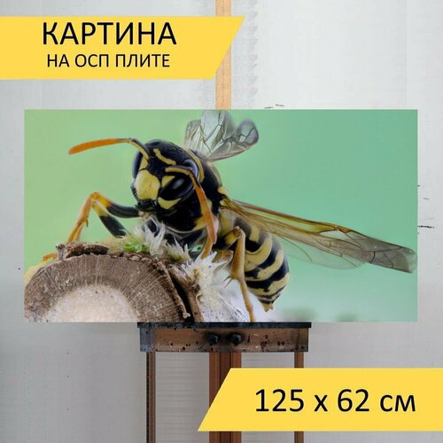 Картина на ОСП 125х62 см. "Насекомое, пчела, макрос" горизонтальная, для интерьера, с креплениями