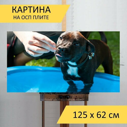 Картина на ОСП 125х62 см. "Собака, щенок, собачка" горизонтальная, для интерьера, с креплениями