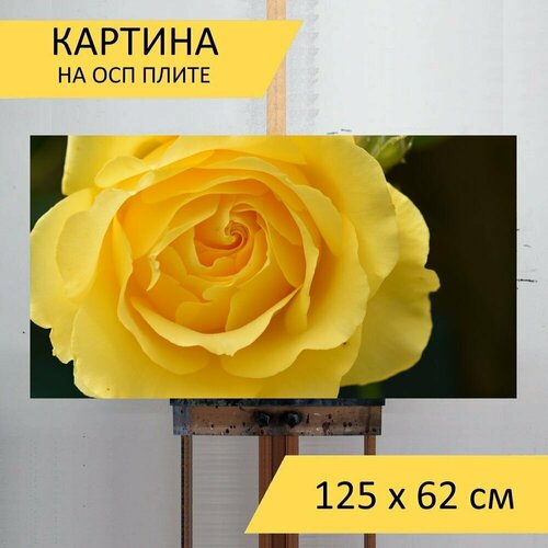 Картина на ОСП 125х62 см. "Желтая роза, цветок, завод" горизонтальная, для интерьера, с креплениями