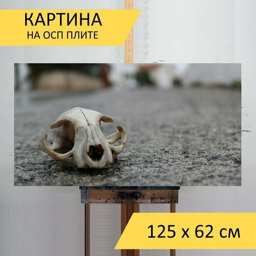 Картина на ОСП 125х62 см. "Природа, животное, череп" горизонтальная, для интерьера, с креплениями