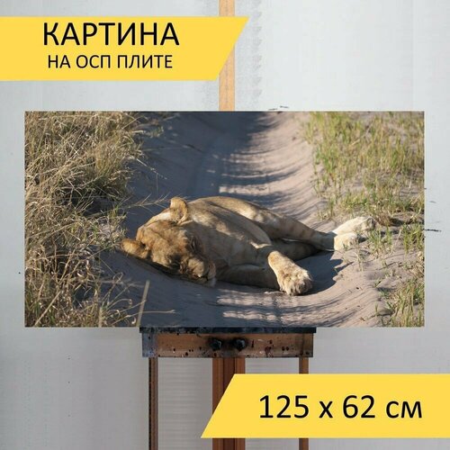 Картина на ОСП 125х62 см. "Лев, животное, хищник" горизонтальная, для интерьера, с креплениями