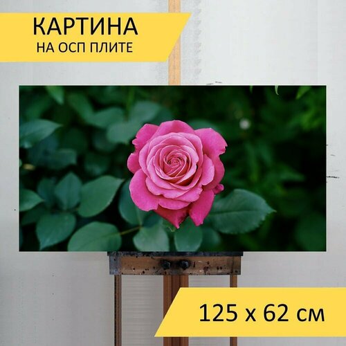 Картина на ОСП 125х62 см. "Цветок, роза, романтичный" горизонтальная, для интерьера, с креплениями