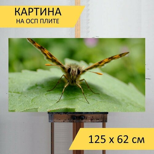 Картина на ОСП 125х62 см. "Природа, насекомое, дикая природа" горизонтальная, для интерьера, с креплениями