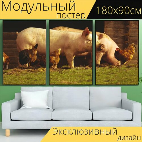 Модульный постер "Свиньи, курица, фермерский двор" 180 x 90 см. для интерьера