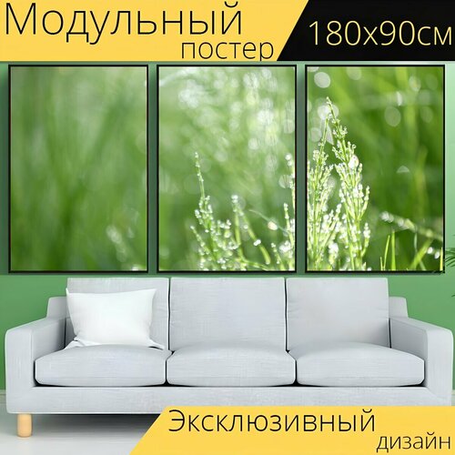 Модульный постер "Свет, трава, лето" 180 x 90 см. для интерьера