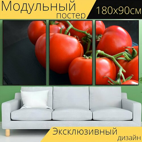 Модульный постер "Помидоры, красные помидоры, свежий" 180 x 90 см. для интерьера
