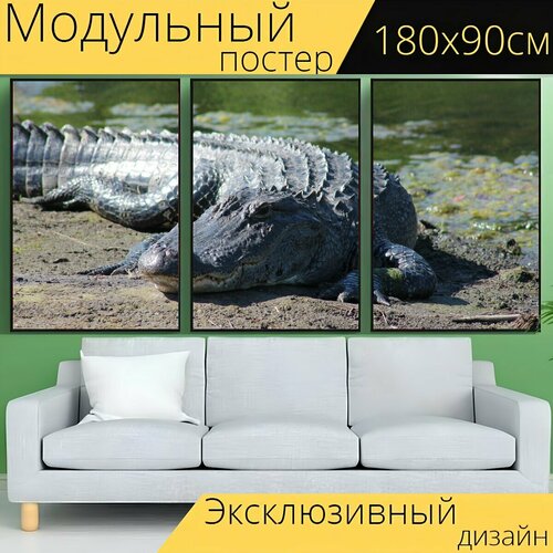 Модульный постер "Аллигатор, дикая природа, животное" 180 x 90 см. для интерьера