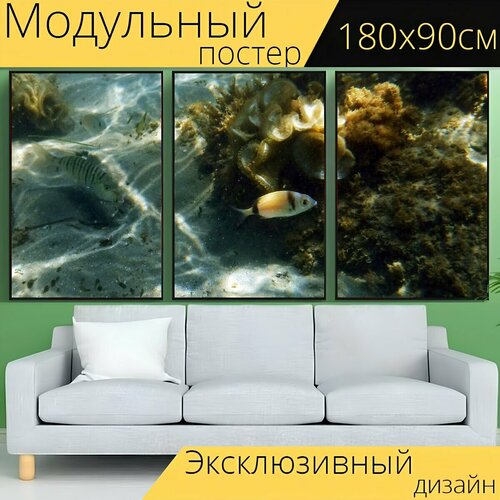 Модульный постер "Рыба, море, морские водоросли" 180 x 90 см. для интерьера