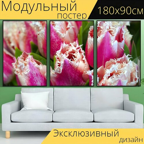 Модульный постер "Тюльпаны, цветы, букет" 180 x 90 см. для интерьера