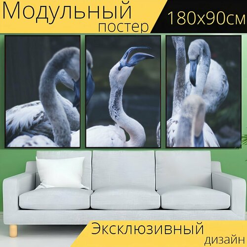 Модульный постер "Птица, птичий, фламинго" 180 x 90 см. для интерьера