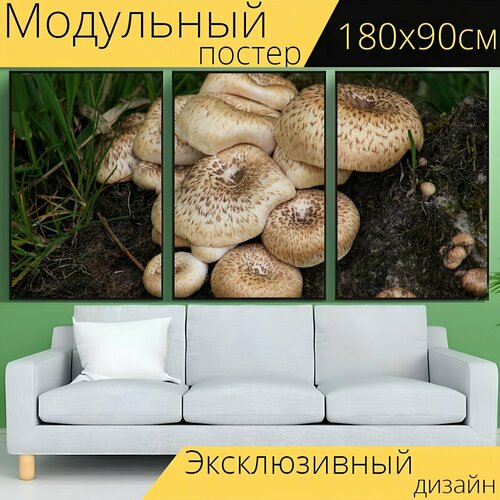 Модульный постер "Гриб, лесные грибы, съедобные грибы" 180 x 90 см. для интерьера